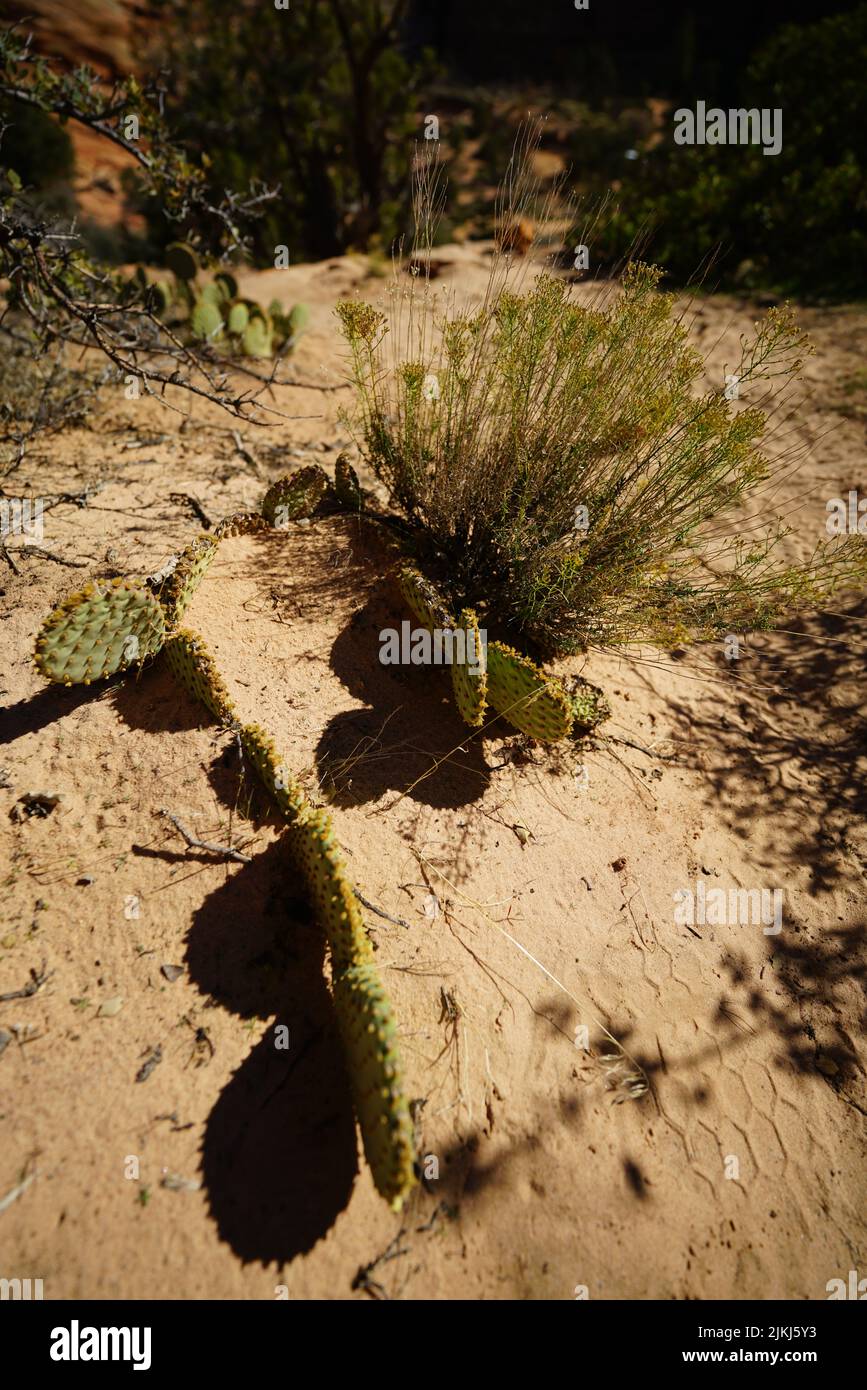 Hot weather nature hi-res stock photography and images - Alamy