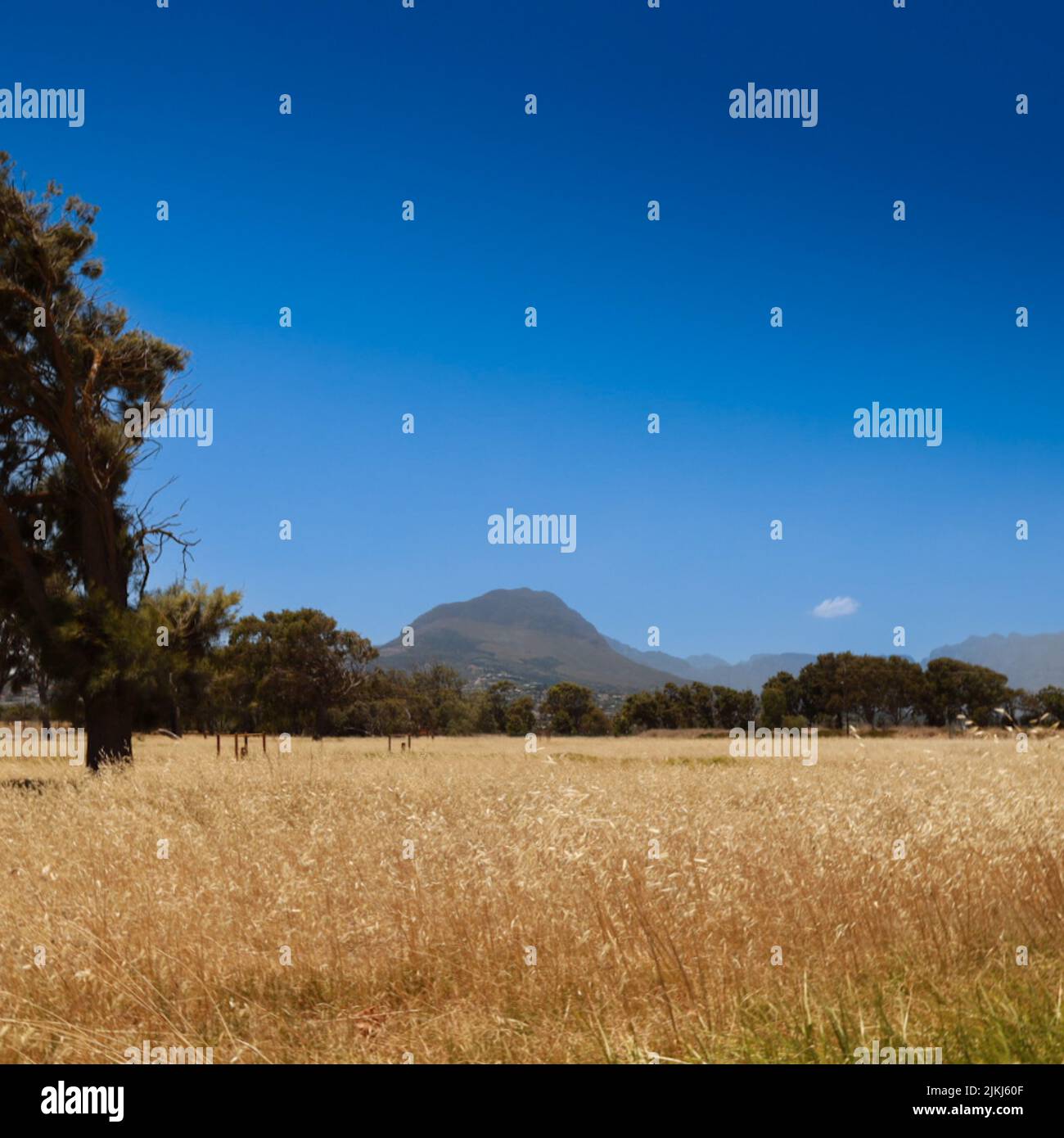 A beautiful view of a big field and some trees in it and a mountain in ...
