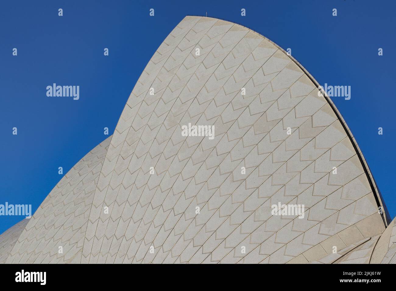 The Detail of the opera house rooftop dome in Sydney Stock Photo - Alamy