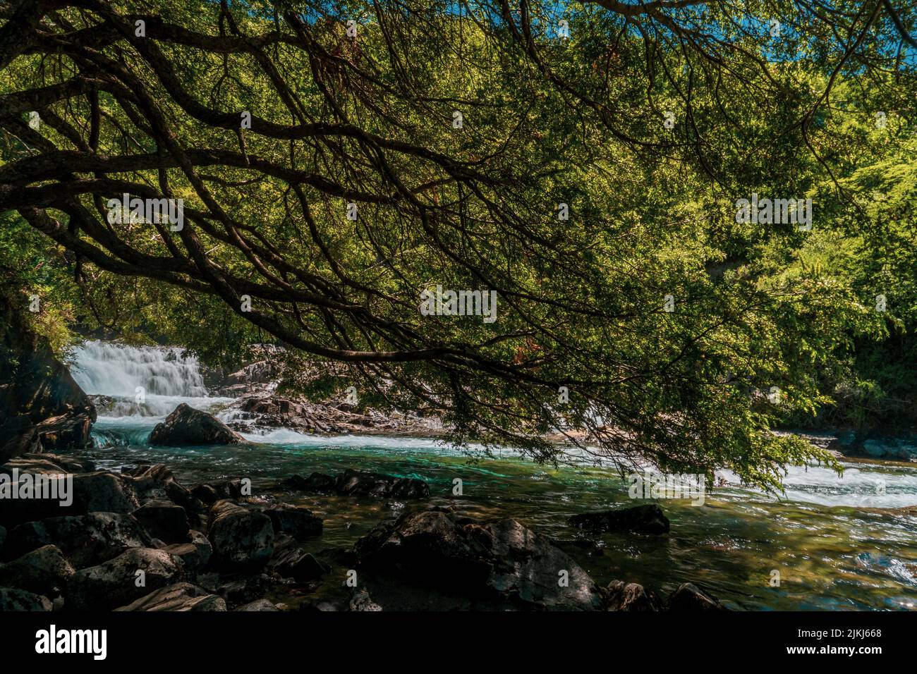 A picturesque view of a small waterfall behind tree branches Stock ...