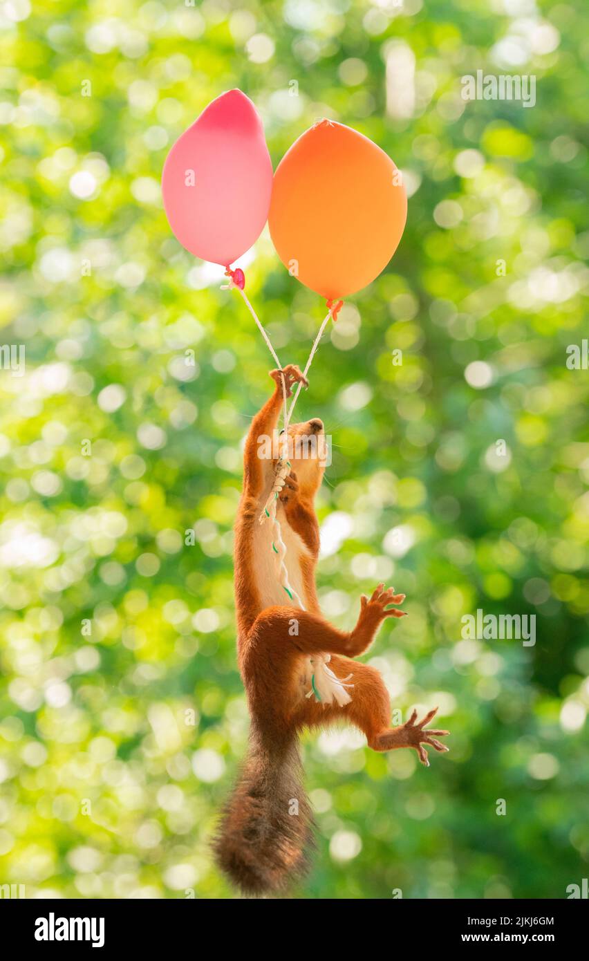 Balloon afloat hi-res stock photography and images - Alamy