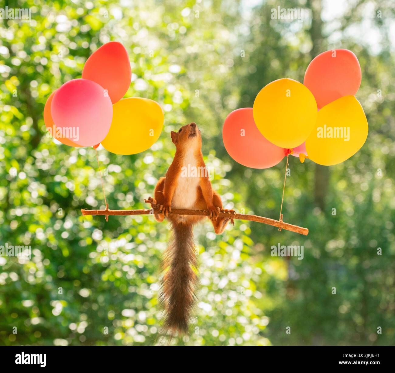 Balloon afloat hi-res stock photography and images - Alamy