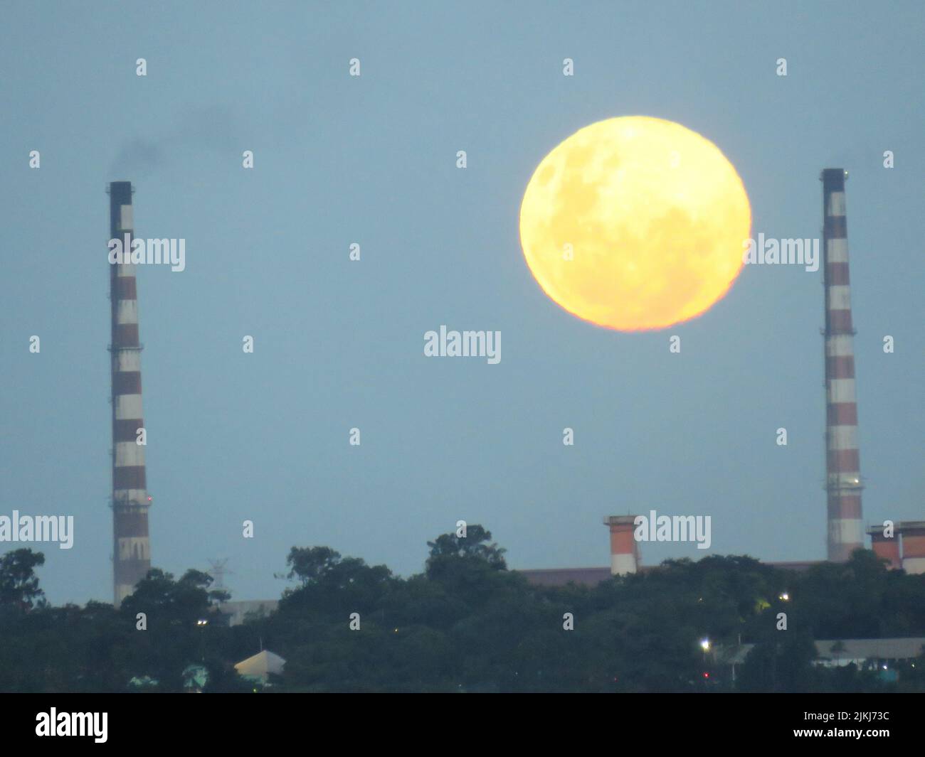 Full moon behind trees hi-res stock photography and images - Alamy