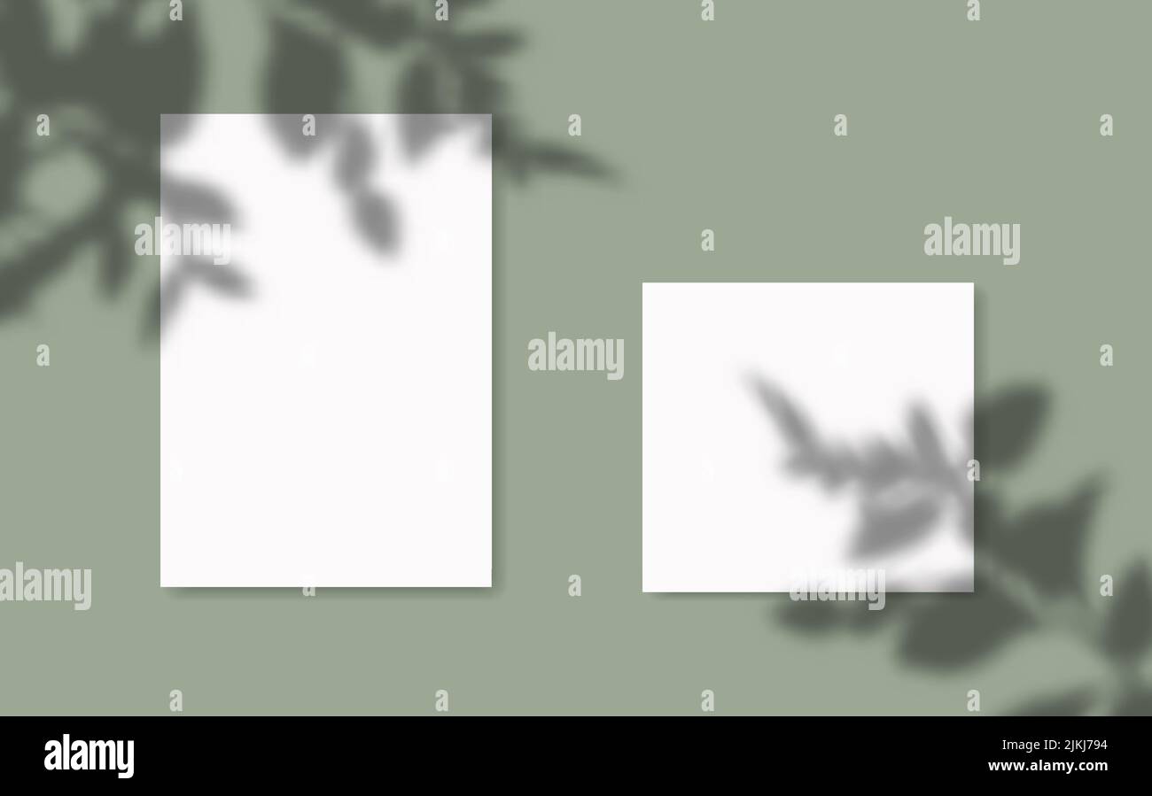Modern minimalist style.Scenes of natural lighting.Drop shadow overlay ...