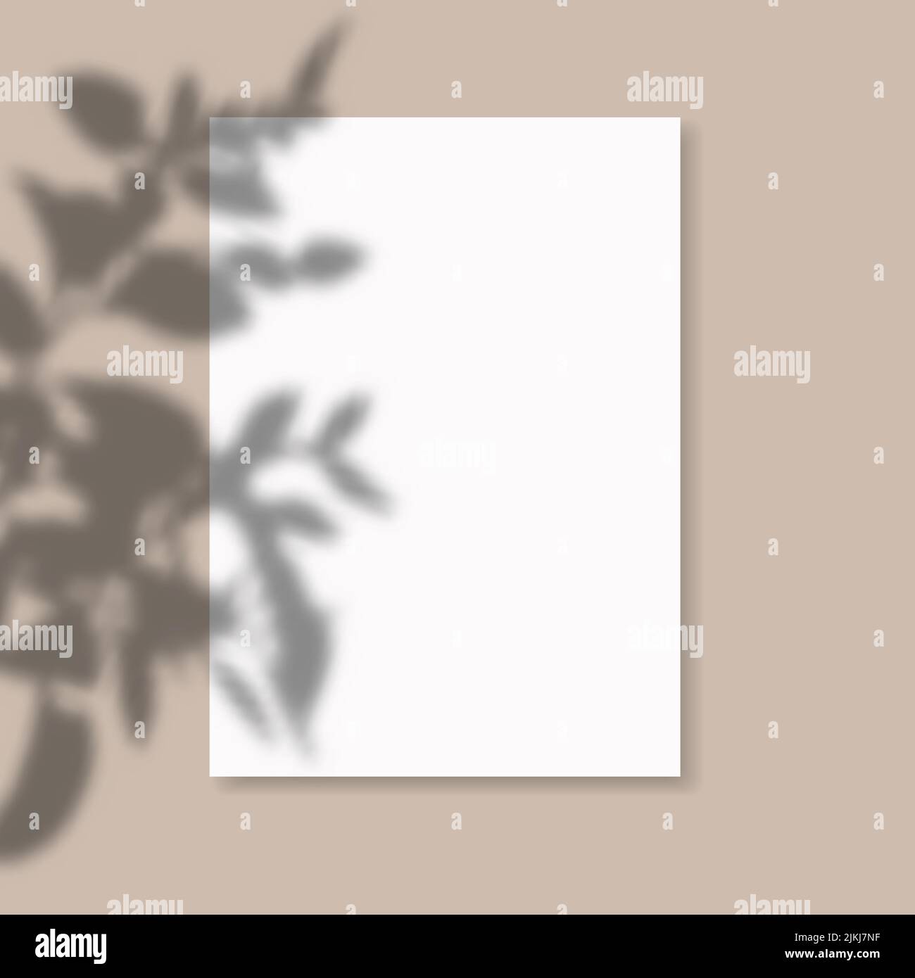 Modern minimalist style.Scenes of natural lighting.Drop shadow overlay ...