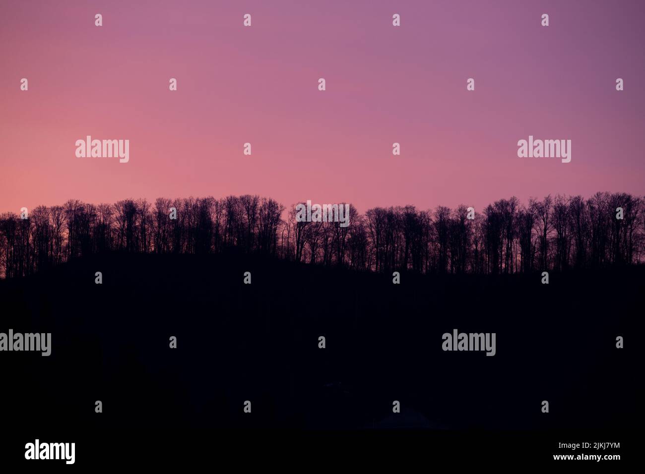 Leafless environment hi-res stock photography and images - Alamy