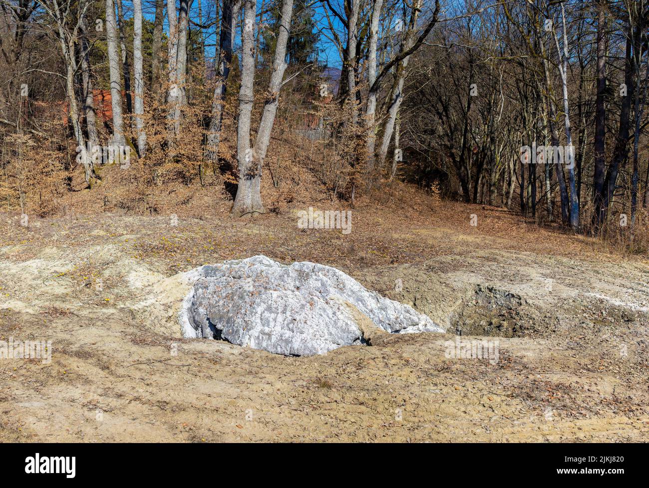 A photo of a rock of salt on the ground in a forest Stock Photo - Alamy