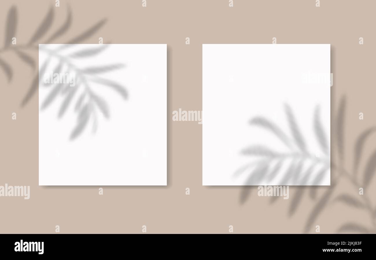 Modern minimalist style.Scenes of natural lighting.Drop shadow overlay ...