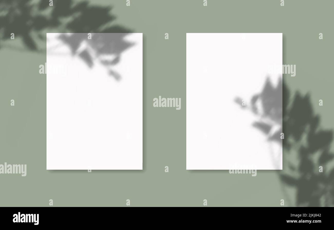 Modern minimalist style.Scenes of natural lighting.Drop shadow overlay ...