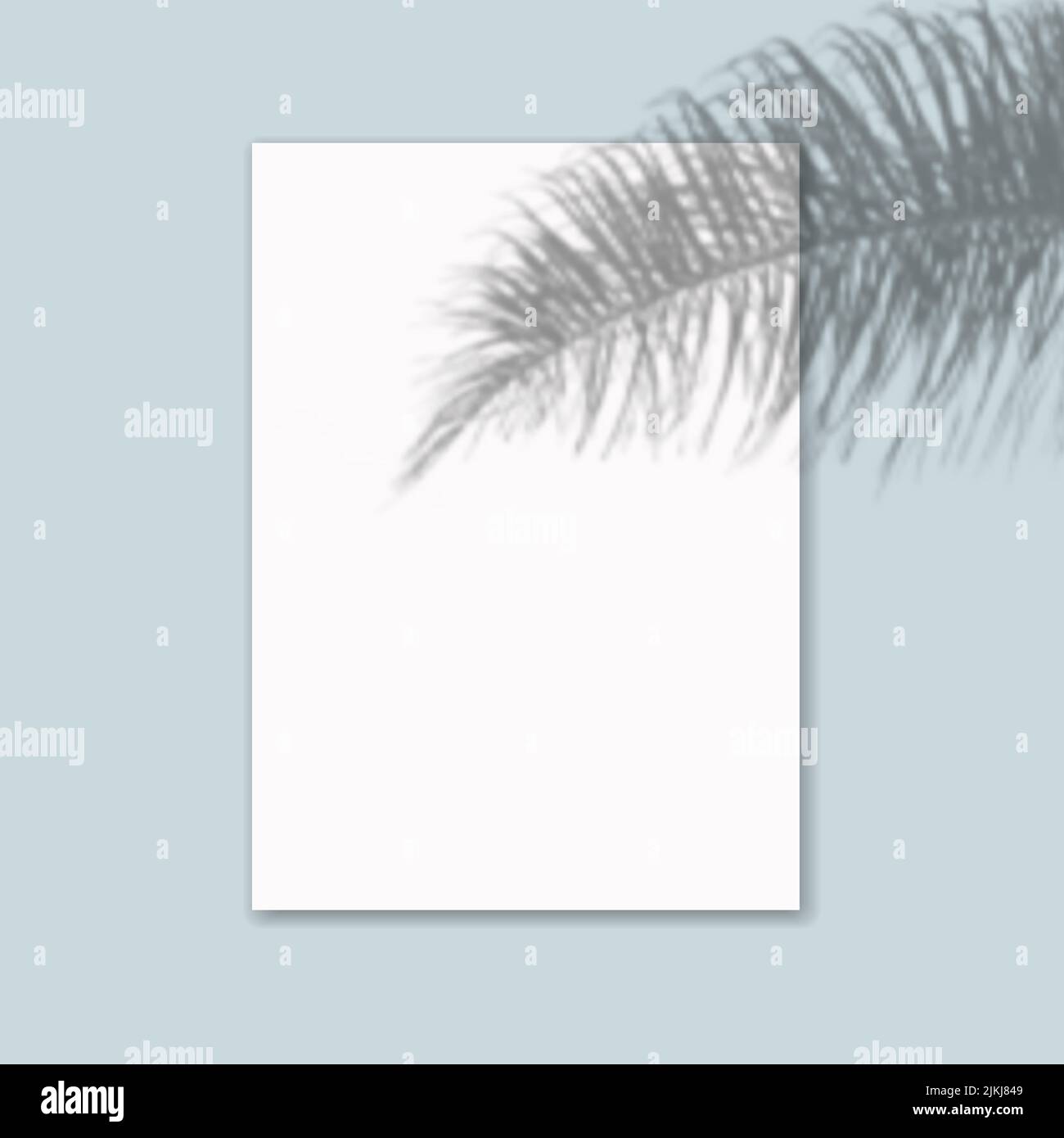 Modern minimalist style.Scenes of natural lighting.Drop shadow overlay ...