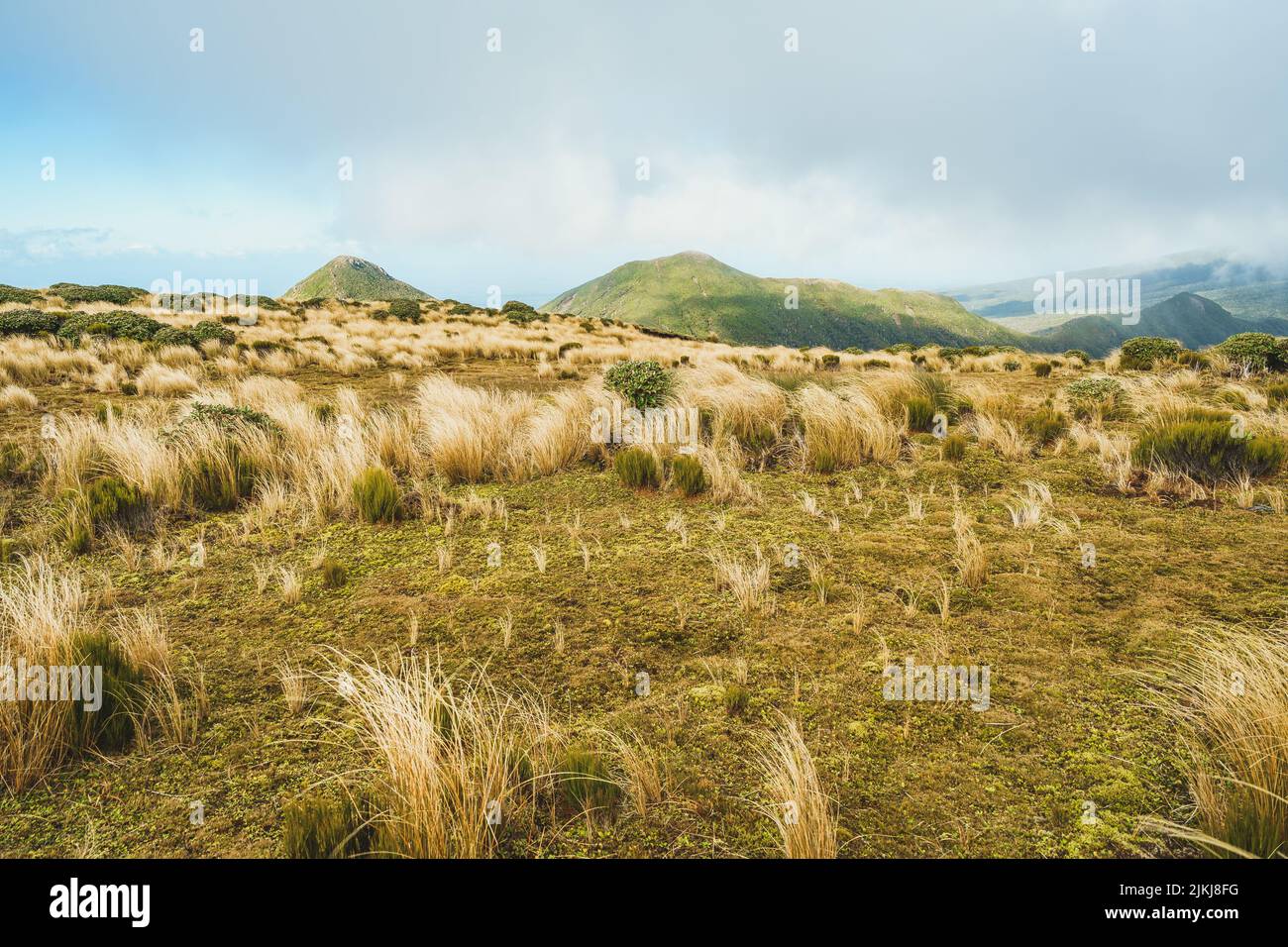 A beautiful view of the famous Mount Taranaki in New Zealand Stock ...