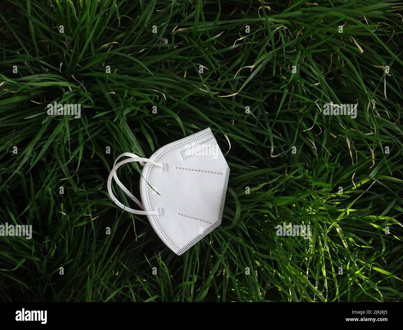 A top view of a white medical face mask thrown on the green grass in ...
