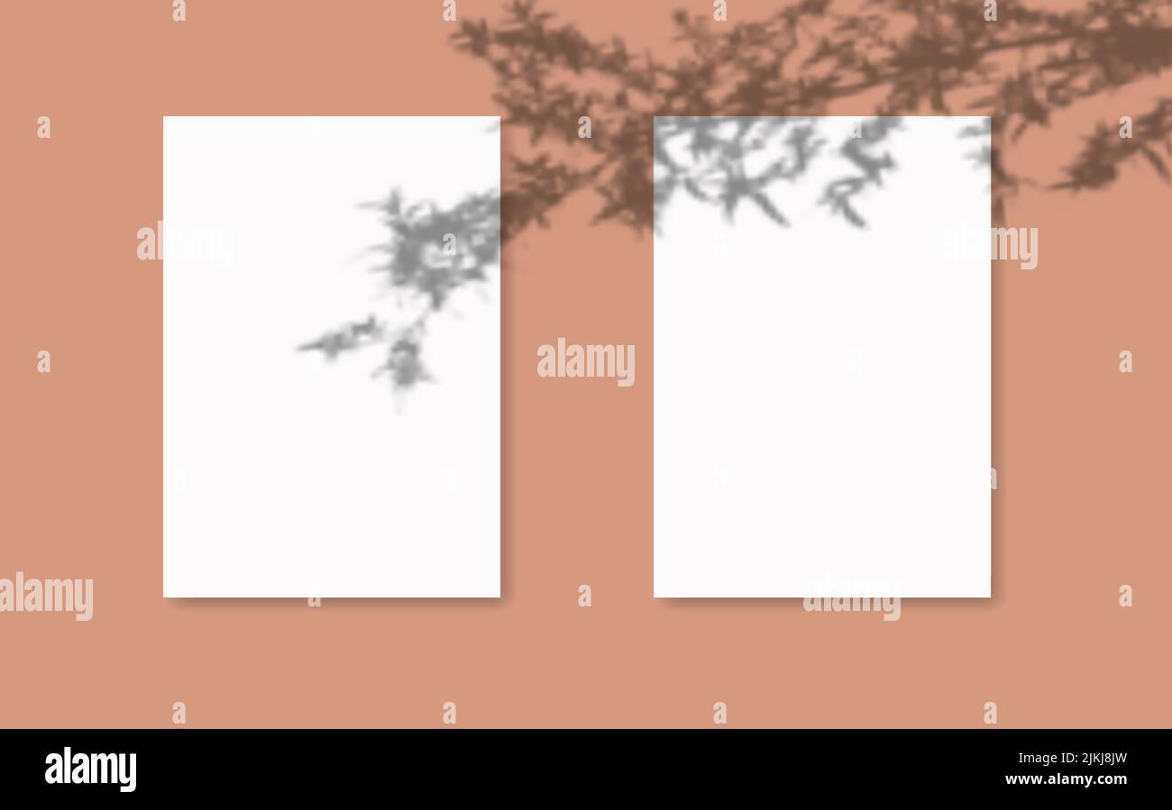 Modern minimalist style.Scenes of natural lighting.Drop shadow overlay ...
