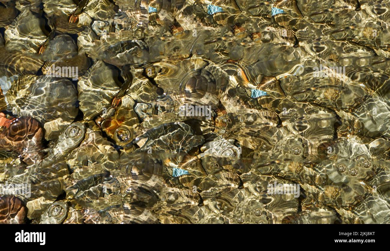 Background with Colored abstract and modern colors and subtle patterns ...