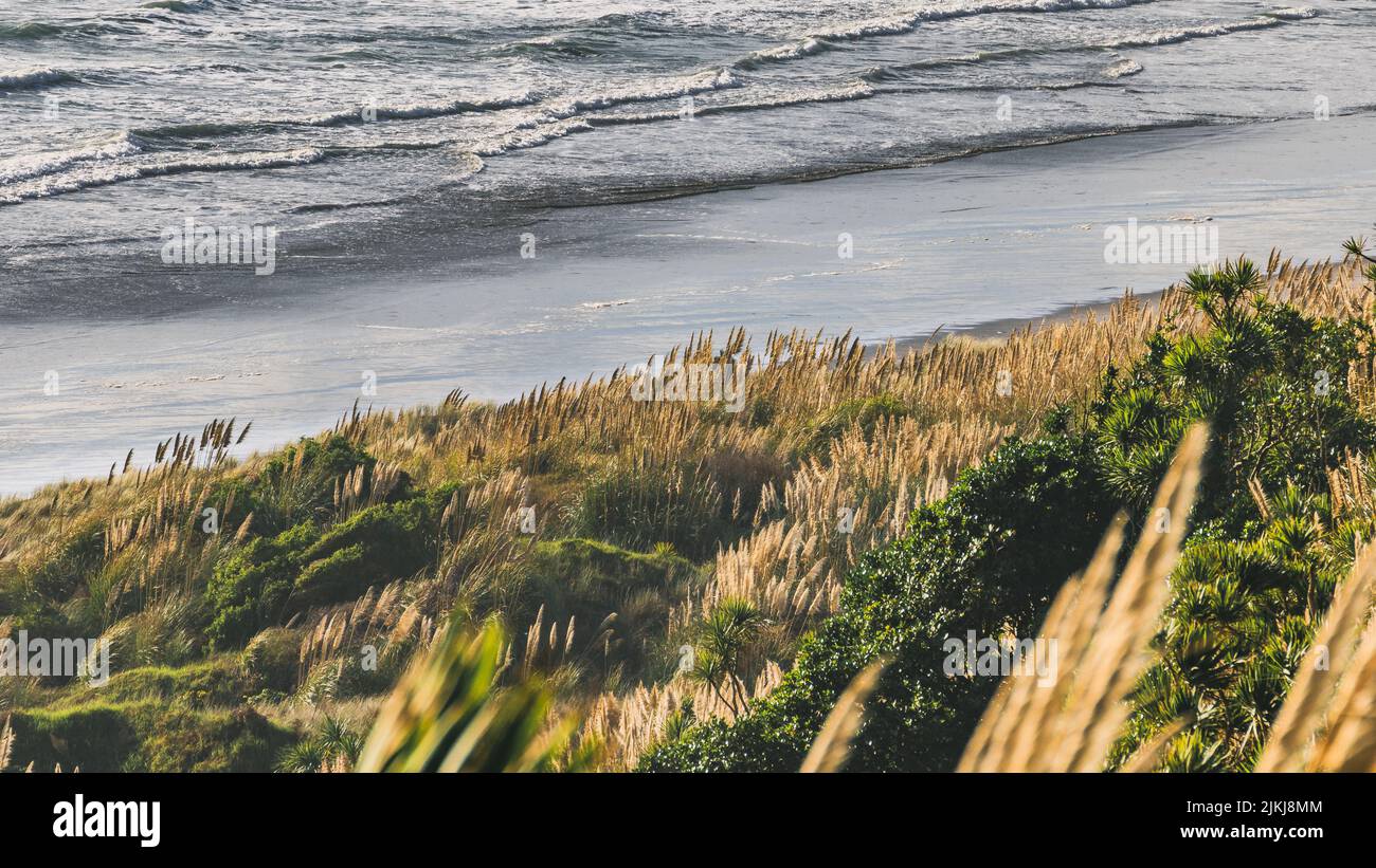 Ngarunui ocean beach hi-res stock photography and images - Alamy