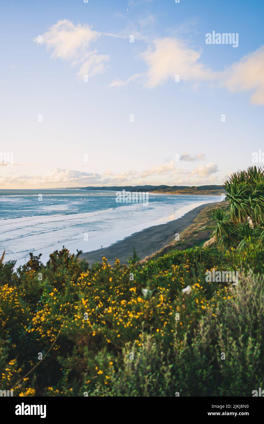 A beautiful landscape view of the plants on the cliffs and seascape ...