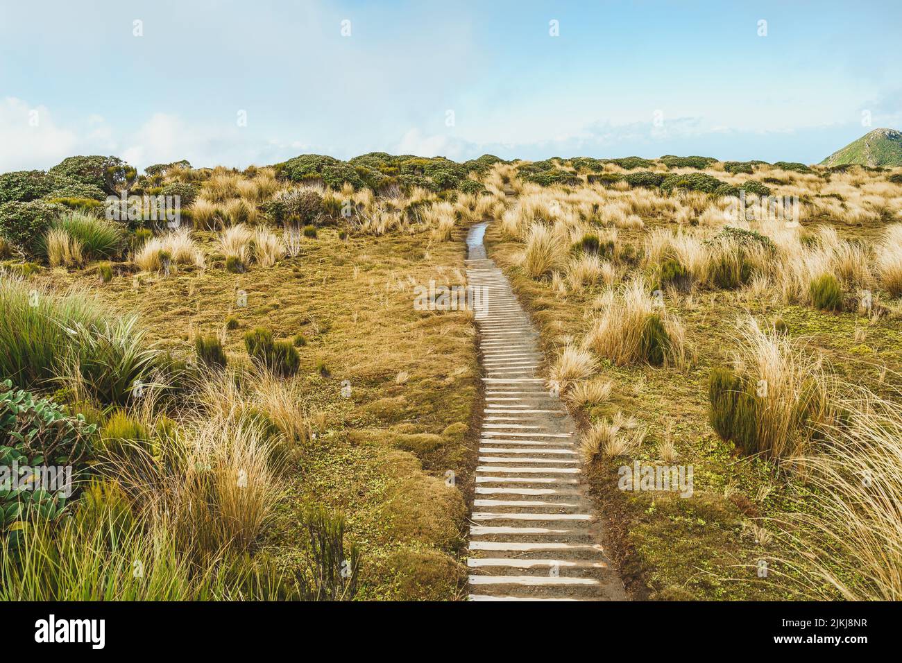 Taranaki scenery taranaki scenery hi-res stock photography and images ...