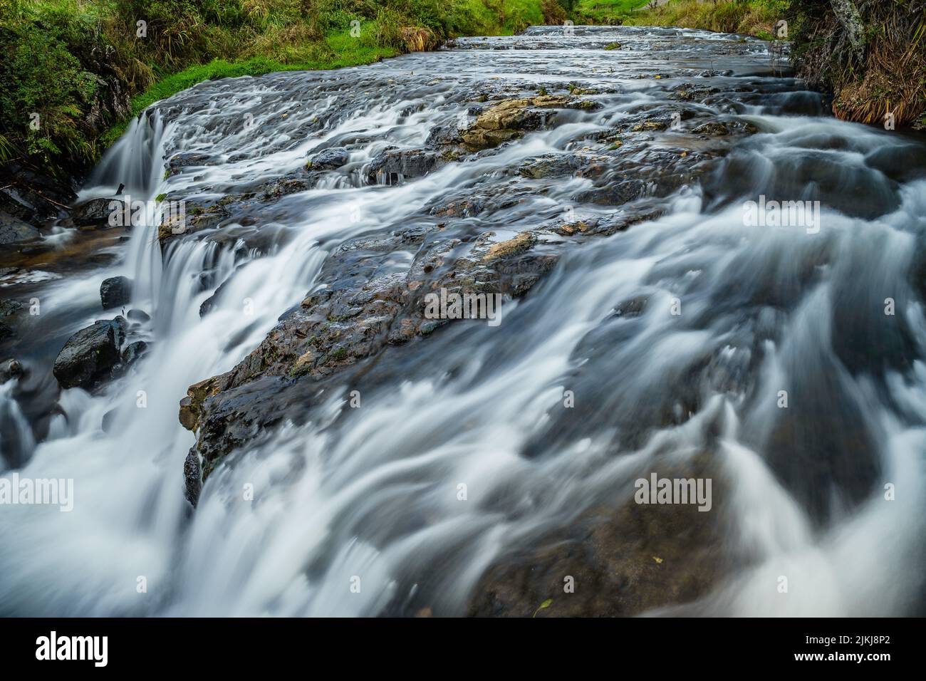Waterfall auckland new zealand hi-res stock photography and images - Alamy