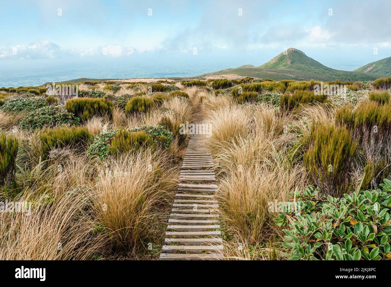 A beautiful view of the famous Mount Taranaki in New Zealand Stock ...