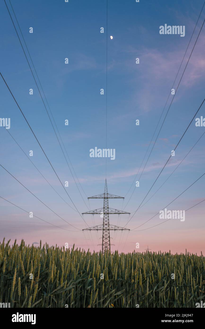 A beautiful shot of green grass and electricity pylon with wires in the ...