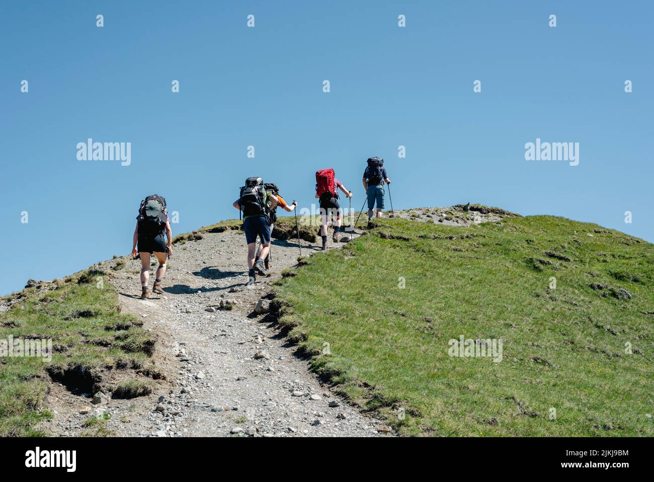 Hiker, Venet mountain, ridge trail, long-distance hiking trail E5, Alps ...
