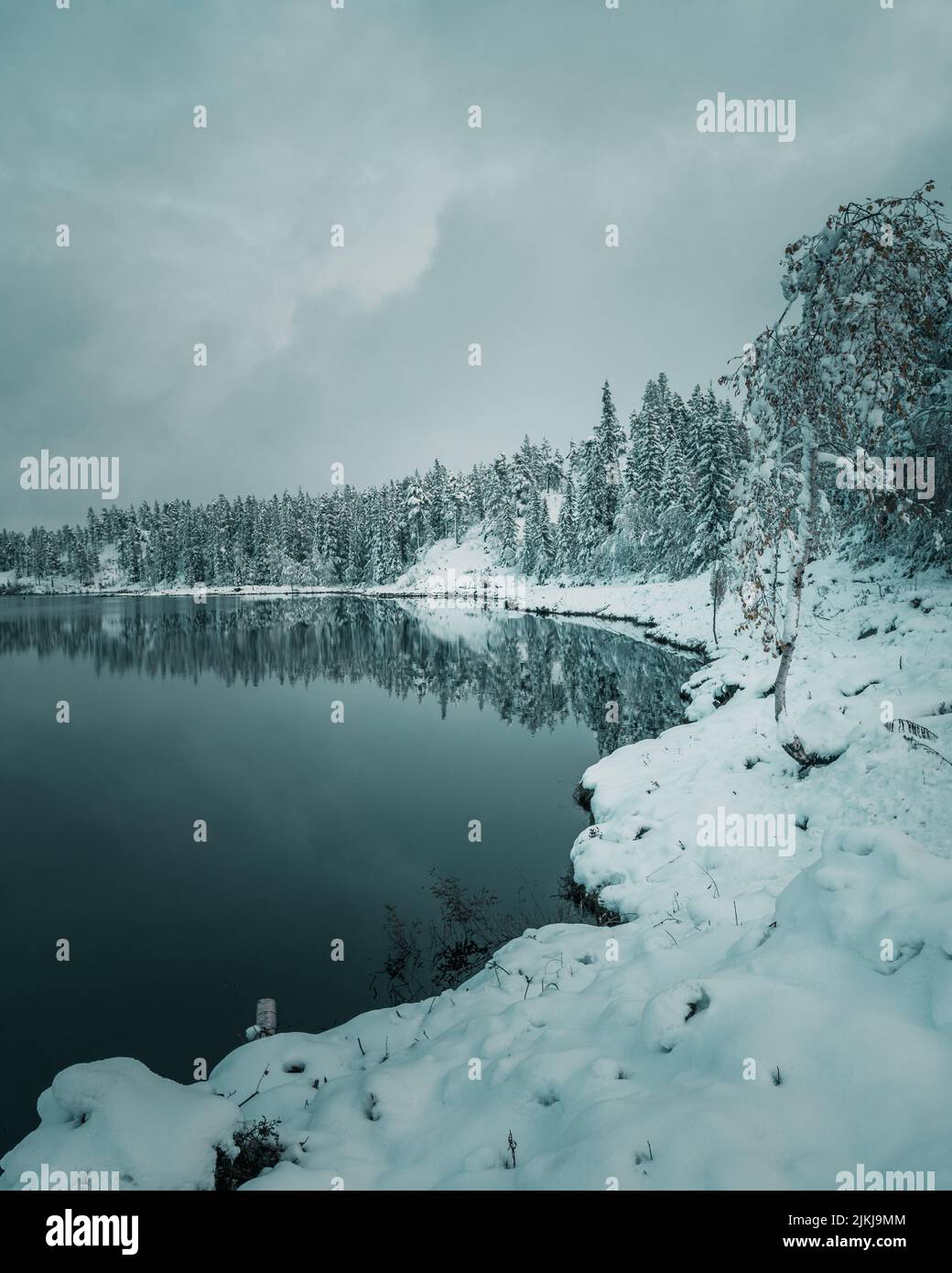 A vertical winter landscape with snowy trees on the shoreline Stock ...