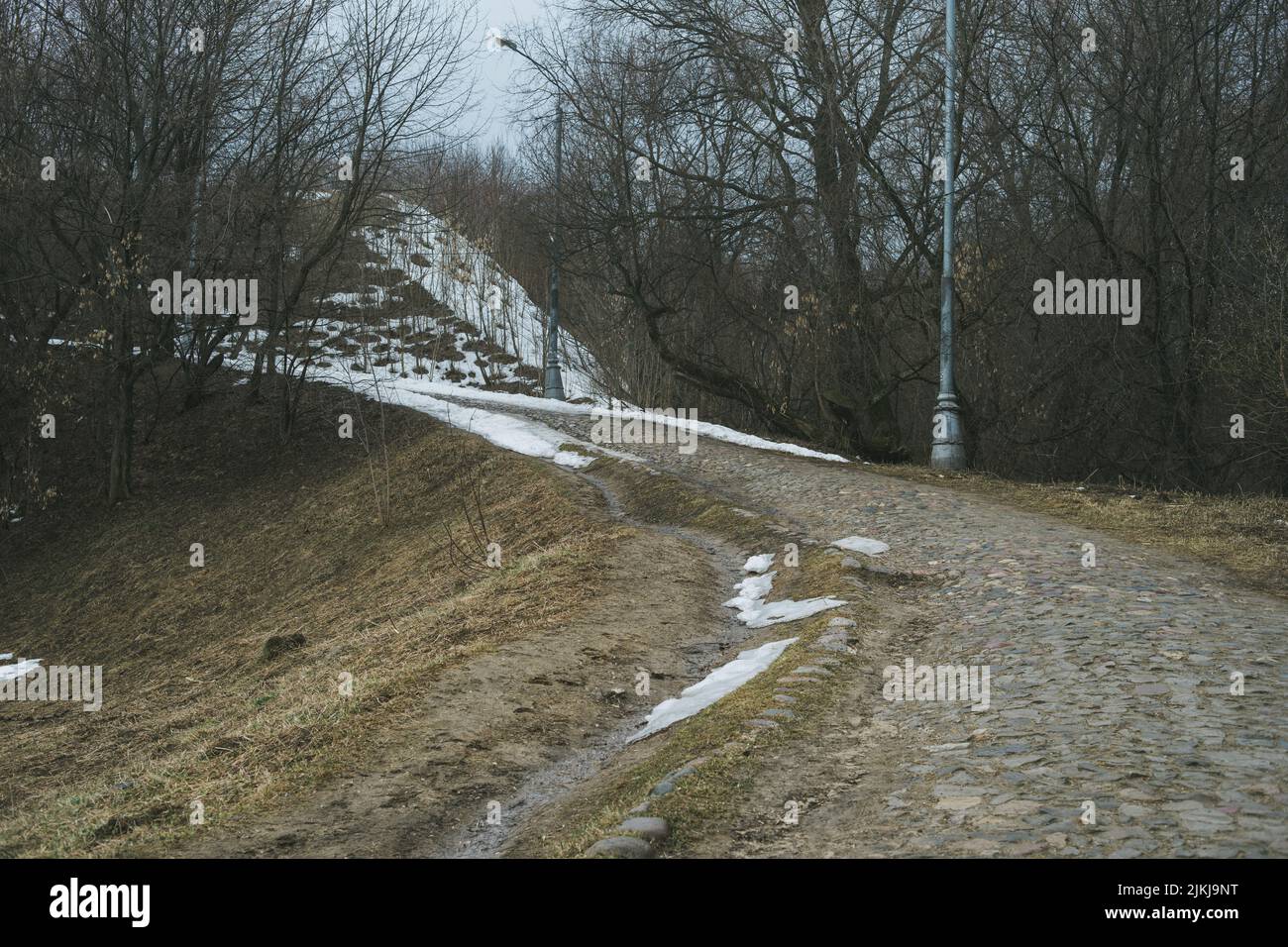 A landscape view of a narrow pathway in a forested area with half ...