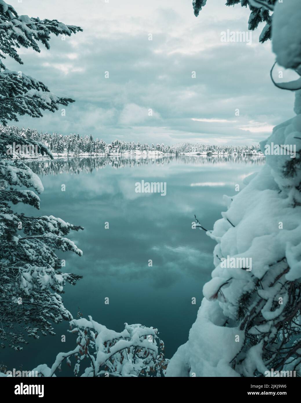 A vertical winter landscape with snowy trees on the shoreline Stock ...