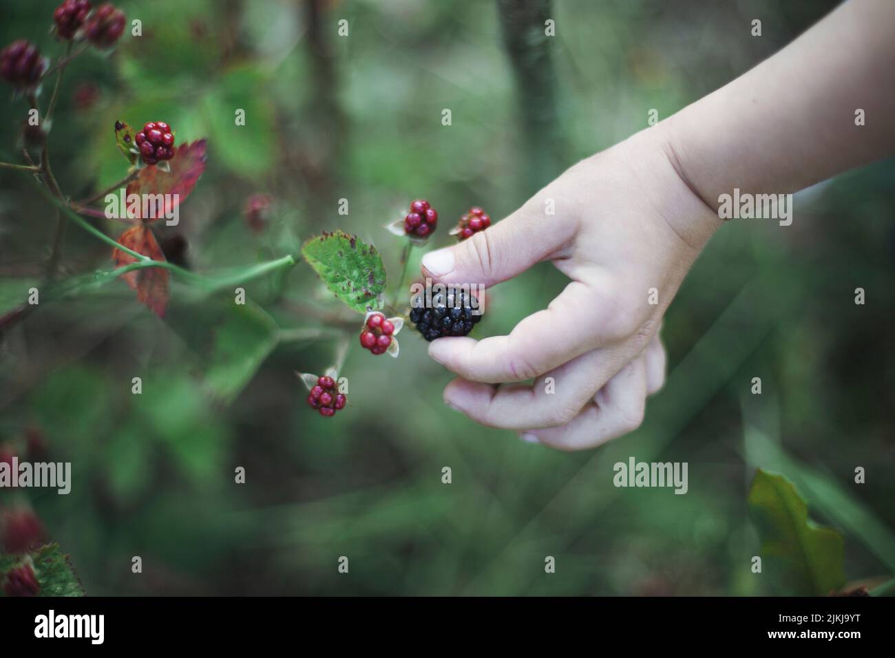 Child pedagogy hi-res stock photography and images - Alamy