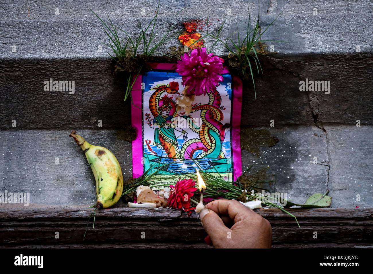 On Aug.2,2022 in Bhaktapur, Nepal. A man worship serpent deity(Snake ...