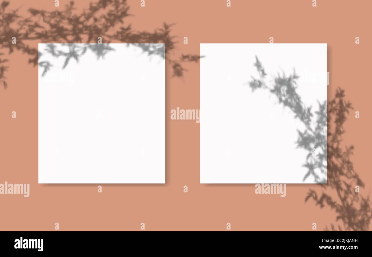 Modern minimalist style.Scenes of natural lighting.Drop shadow overlay ...