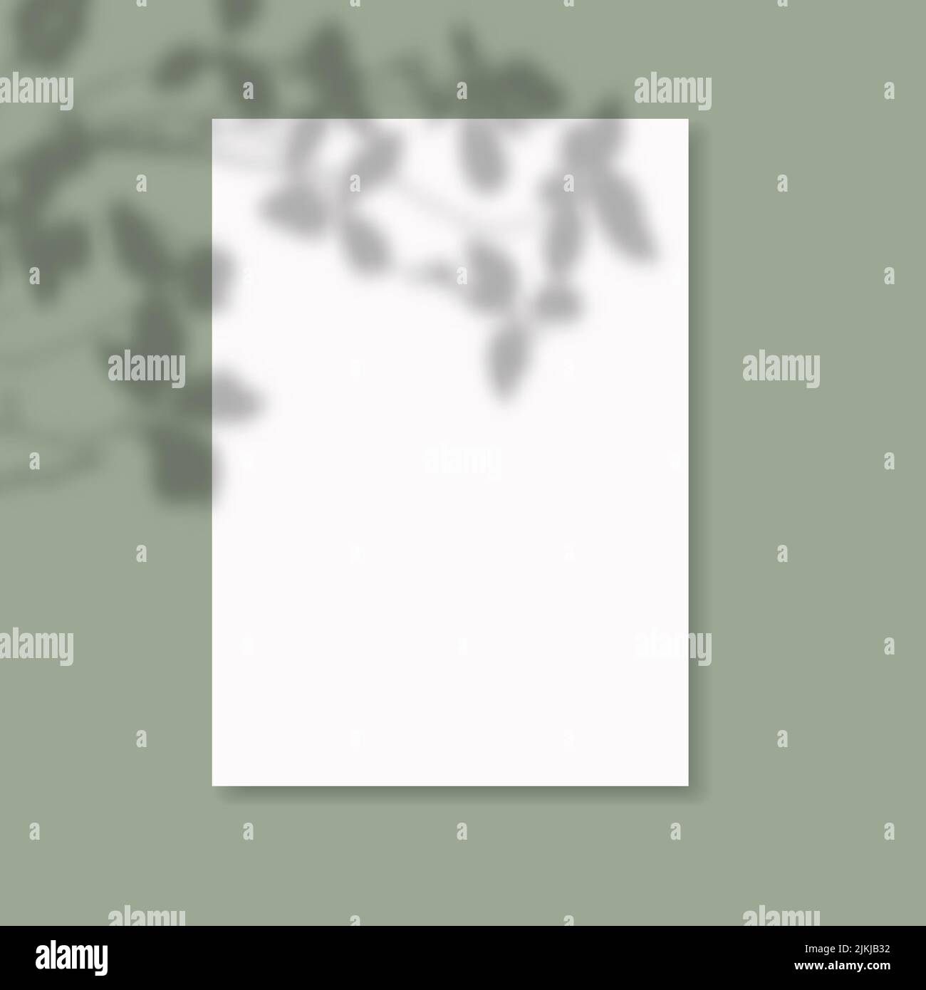 Modern minimalist style.Scenes of natural lighting.Drop shadow overlay ...