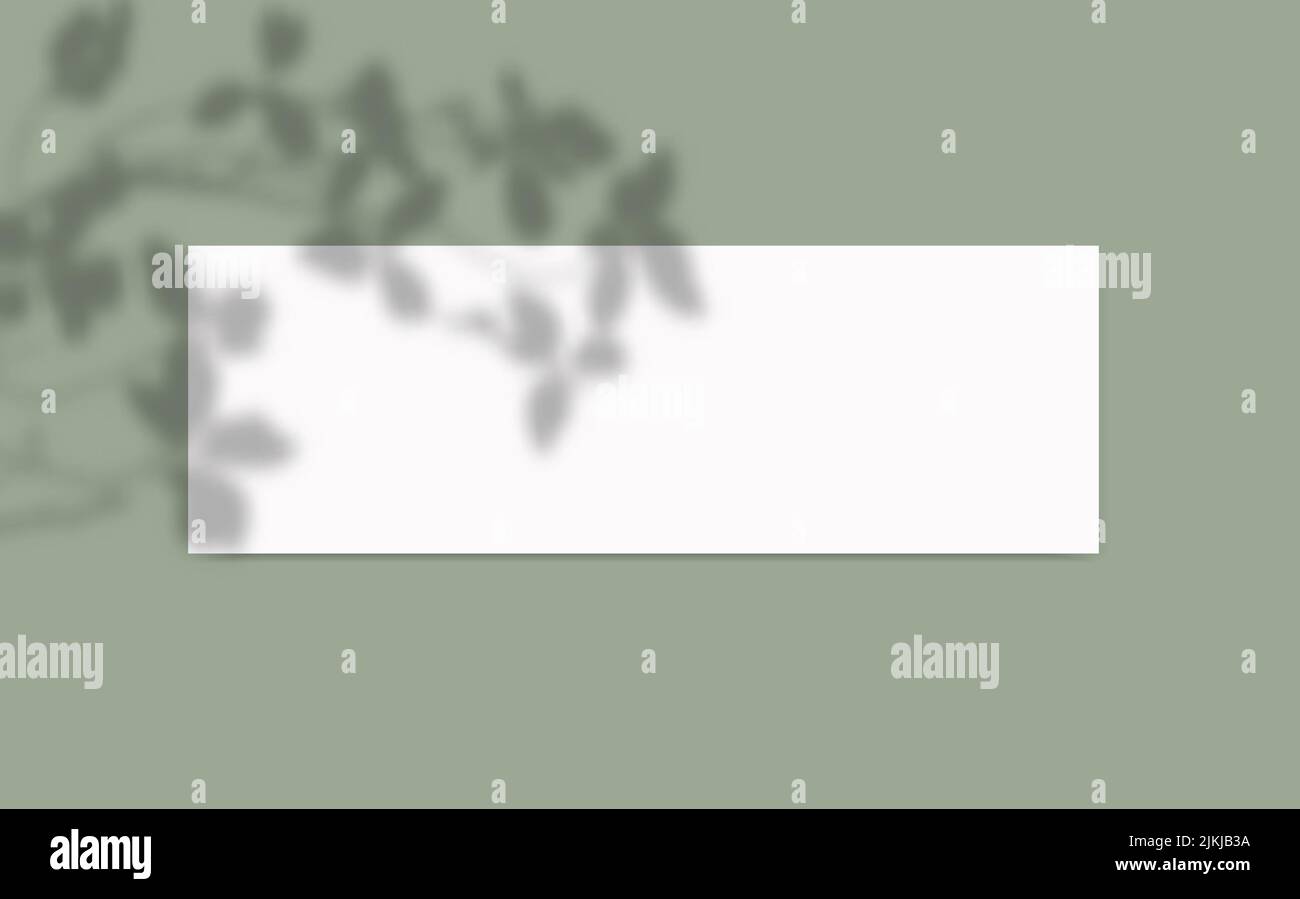 Modern minimalist style.Scenes of natural lighting.Drop shadow overlay ...