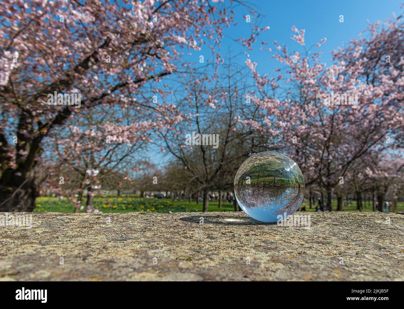 Lens ball hi-res stock photography and images - Alamy