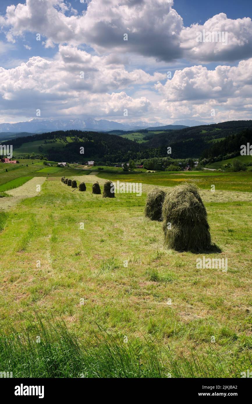 Hay view hi-res stock photography and images - Alamy