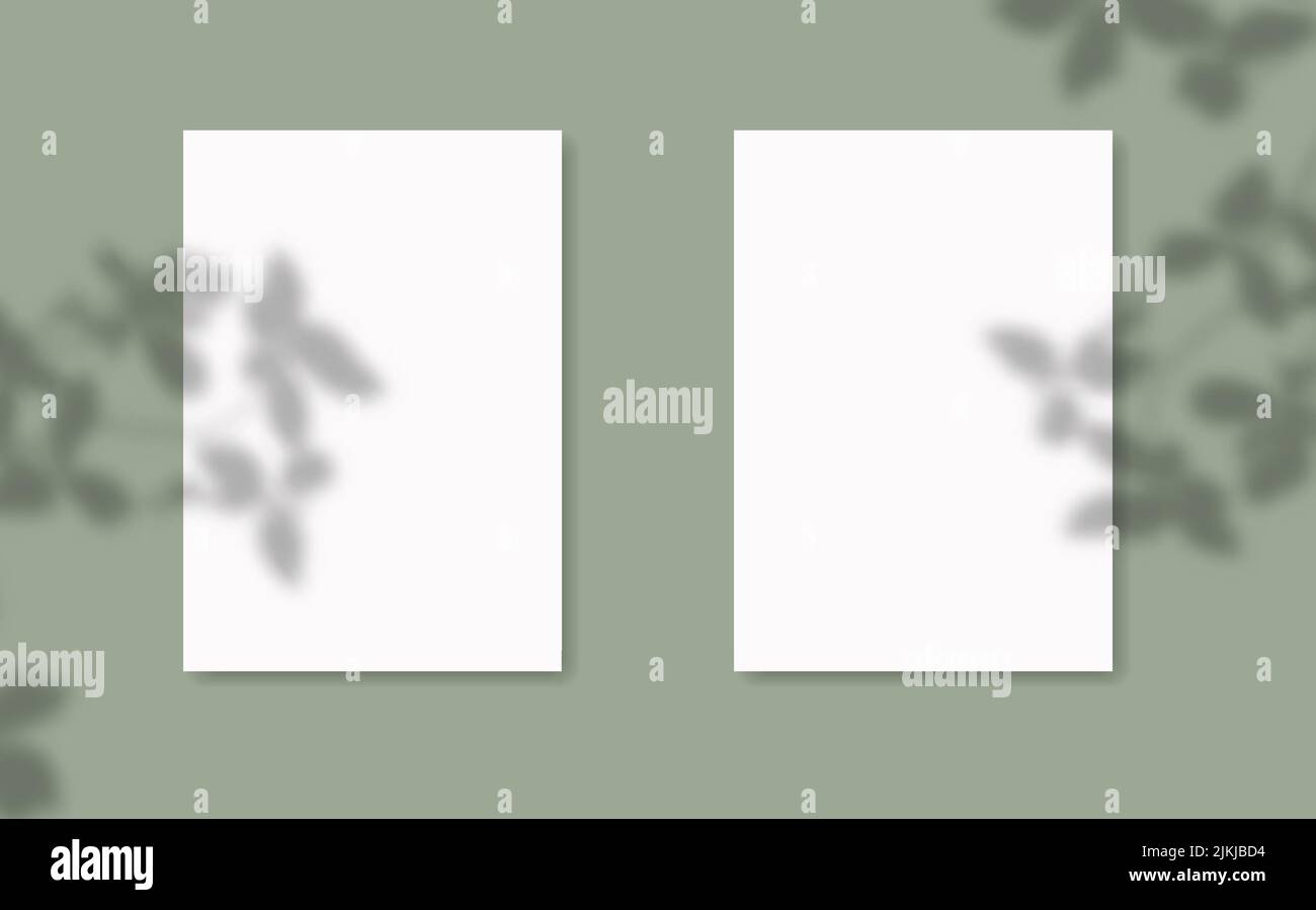 Modern minimalist style.Scenes of natural lighting.Drop shadow overlay ...