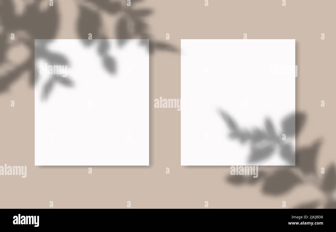 Modern minimalist style.Scenes of natural lighting.Drop shadow overlay ...