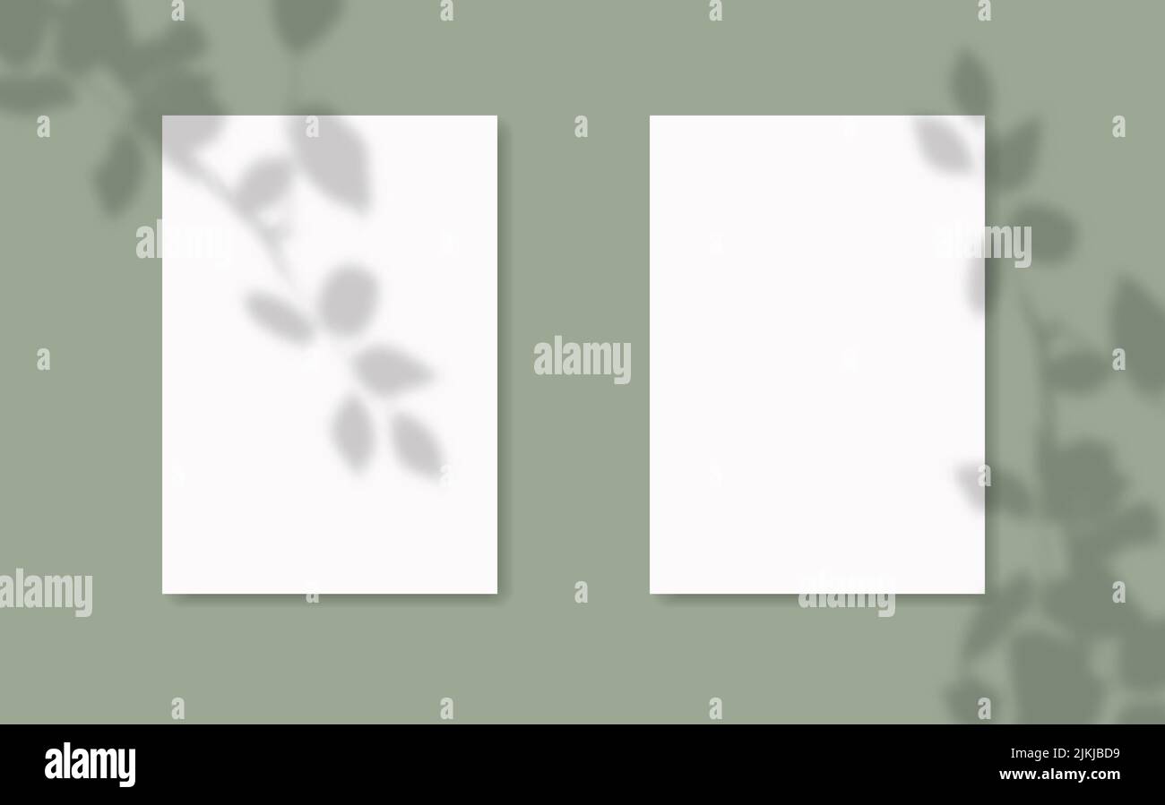 Modern minimalist style.Scenes of natural lighting.Drop shadow overlay ...