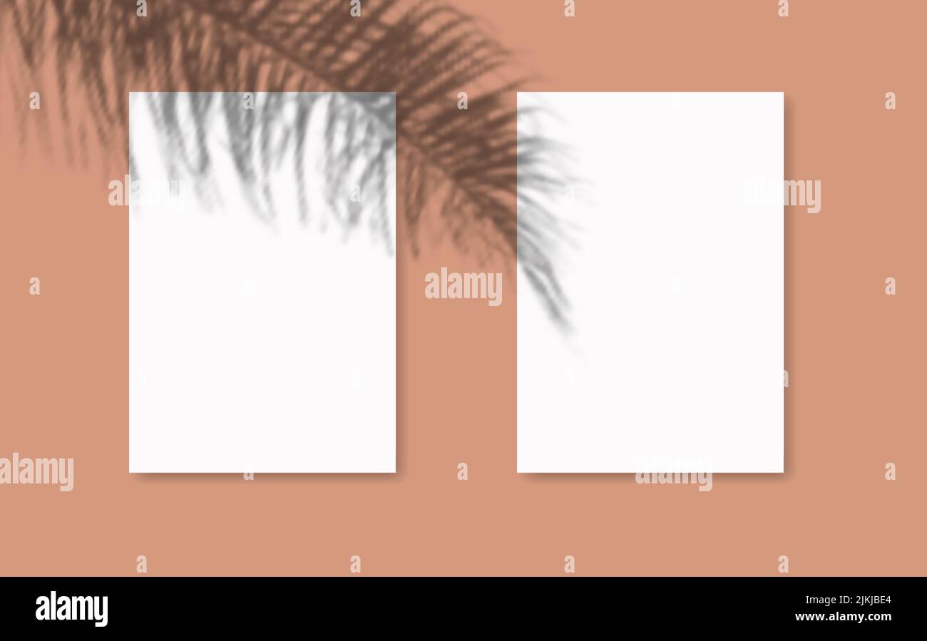 Modern minimalist style.Scenes of natural lighting.Drop shadow overlay ...