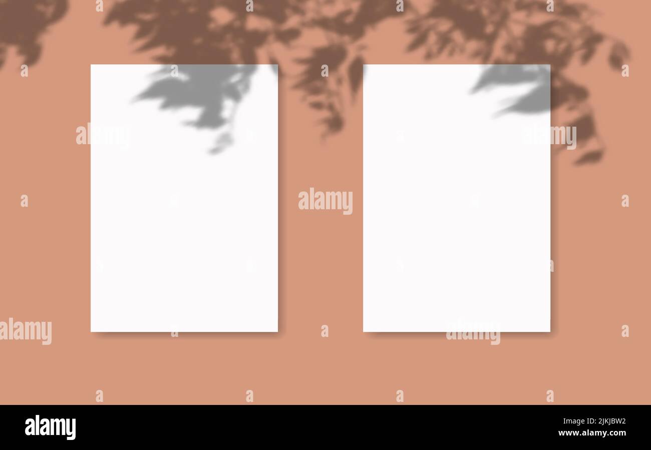 Modern minimalist style.Scenes of natural lighting.Drop shadow overlay ...