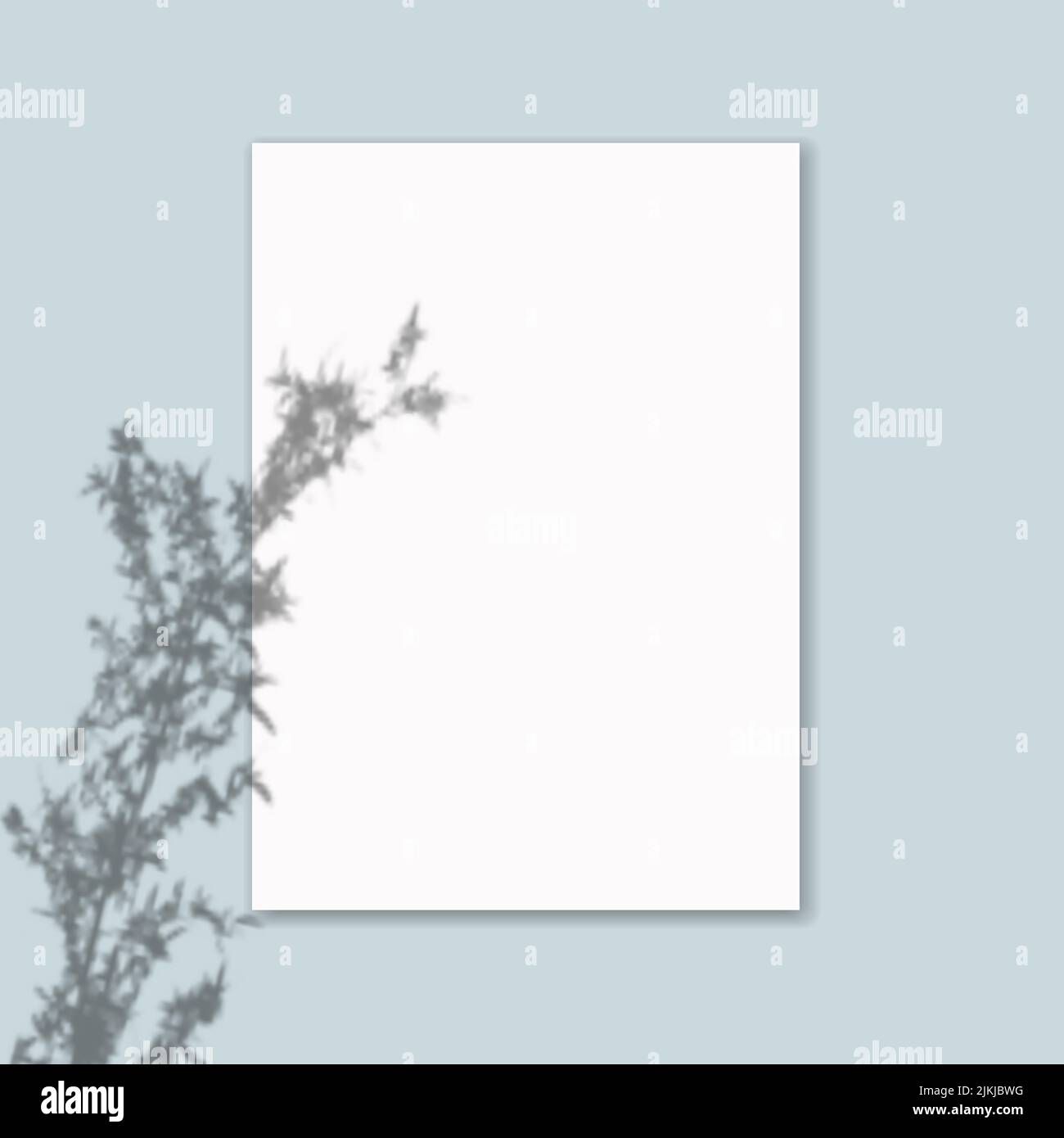 Modern minimalist style.Scenes of natural lighting.Drop shadow overlay ...