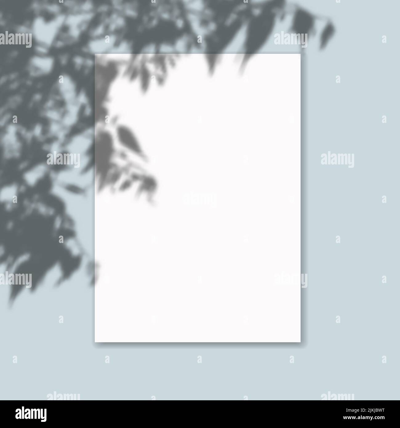 Modern minimalist style.Scenes of natural lighting.Drop shadow overlay ...