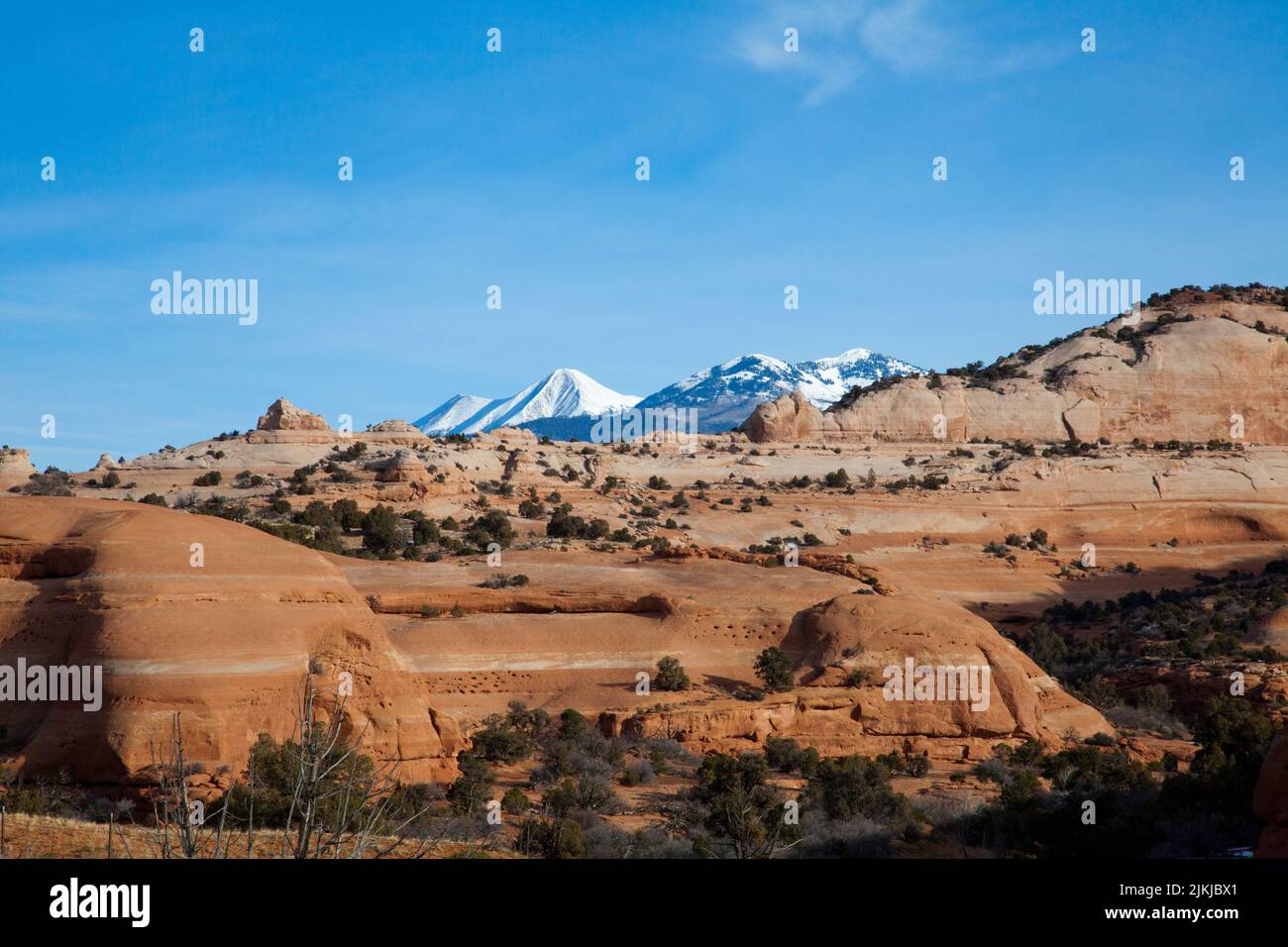 La Sal mountain range next to red rocks of Canyonlands outside of Moab ...