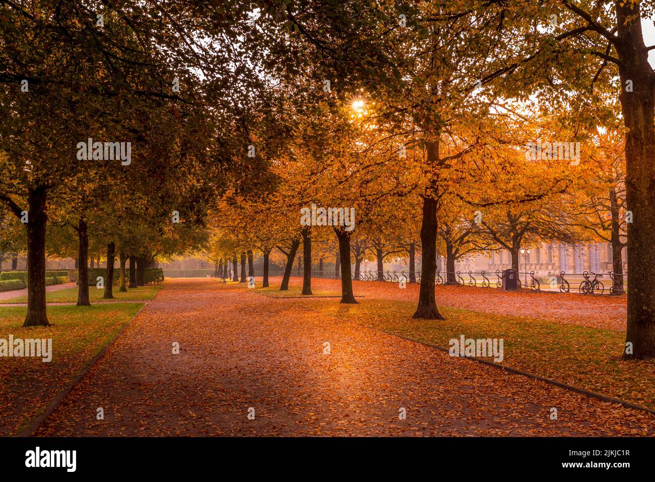 Fall is here! Stock Photo - Alamy