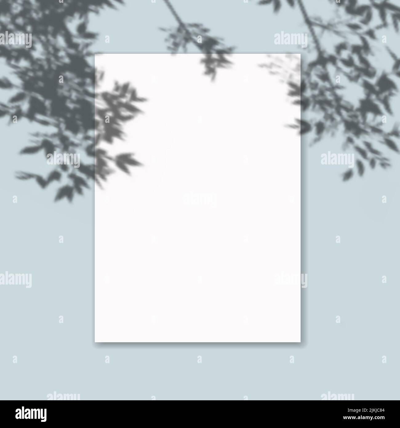 Modern minimalist style.Scenes of natural lighting.Drop shadow overlay ...