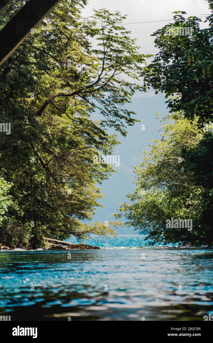A beautiful view of a flowing river surrounded by greens Stock Photo ...