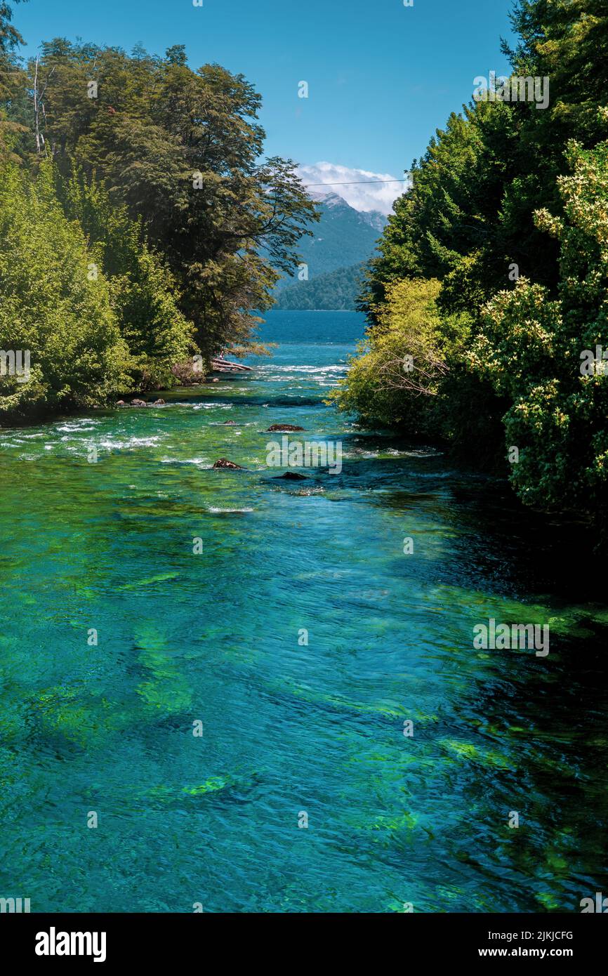 Forest and sea view hi-res stock photography and images - Alamy