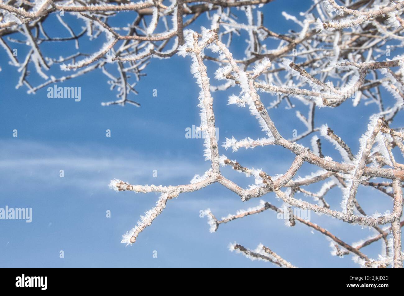 Beautiful garden view hi-res stock photography and images - Alamy