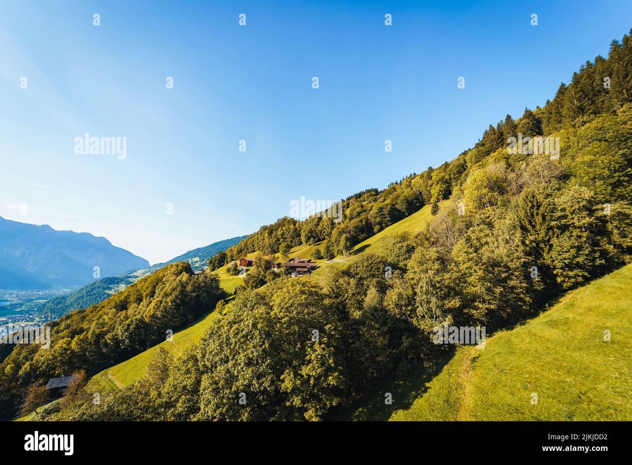The beautiful view of the hillside covered with green vegetation ...