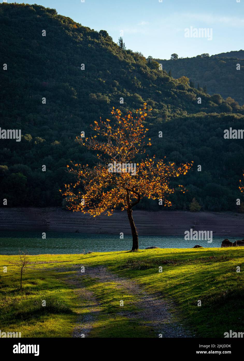 Vertical shot lake foot hi-res stock photography and images - Alamy